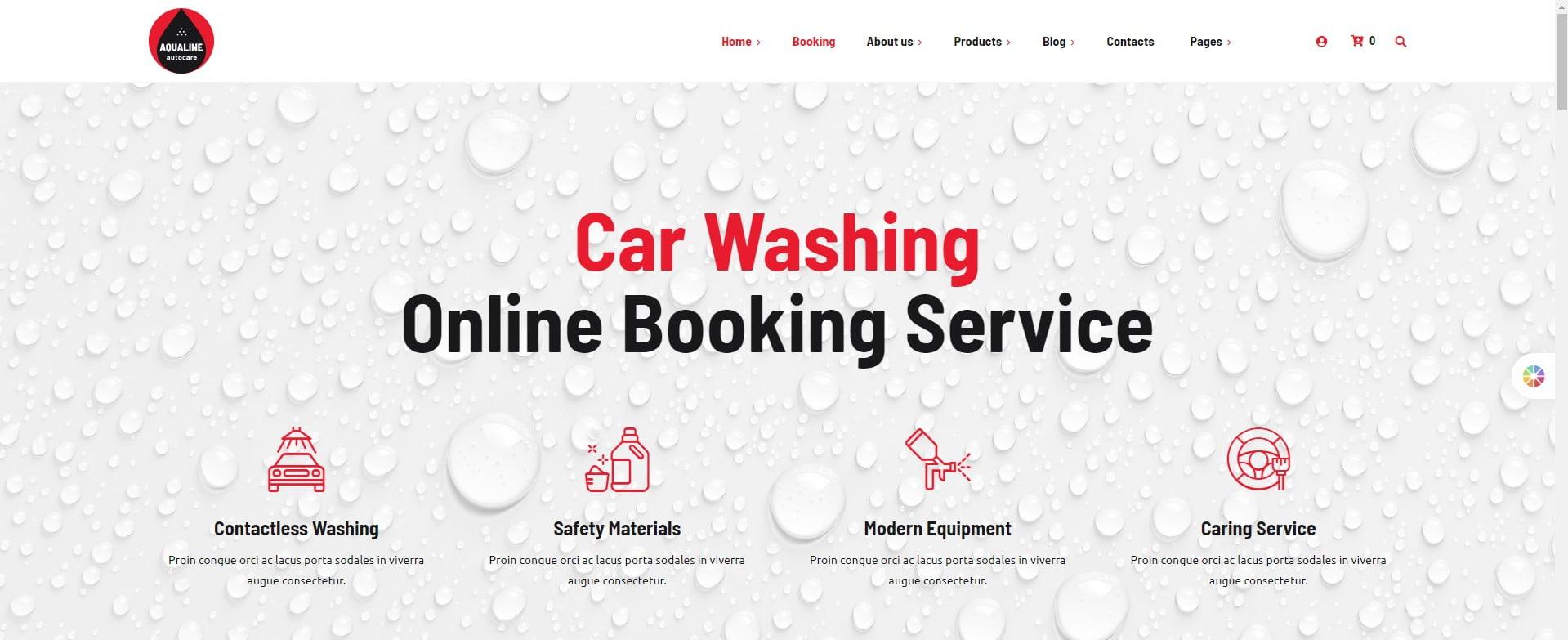 Κατασκευή Eshop για πλυντήριο Αυτοκινήτων - Δείγμα 1 - NetArt.gr